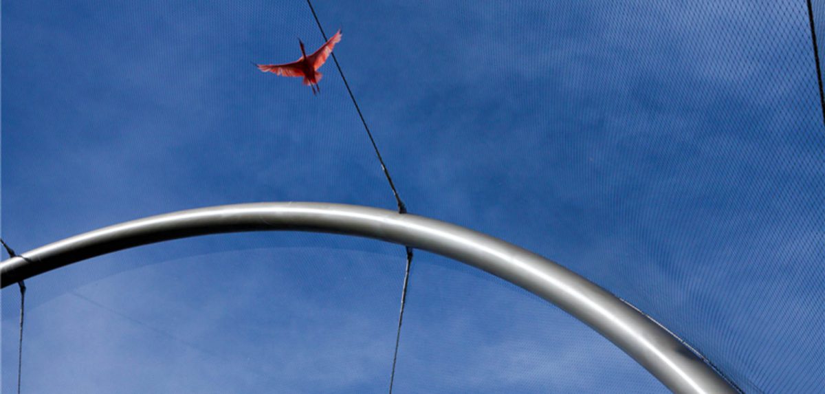 Jakob Rope Systems - Jakob Usa
