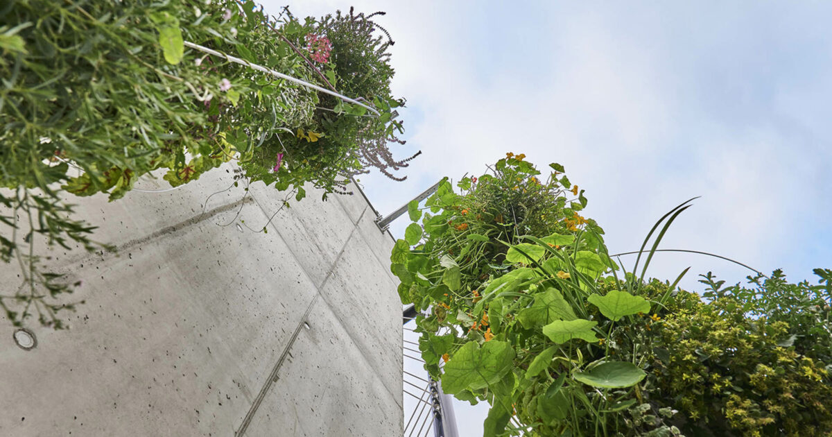 Best Green Walls Solutions with Jakob Rope Systems - Jakob Usa